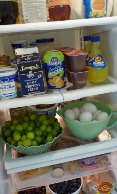 Good Life of Design: "FRIDGESCAPING"